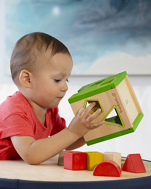EverEarth Shape Sorter Hand to Eye Coordination FSC Certified Wood unisex bambini